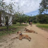 Kemensah - Bukit Pau Extended Trail, Selangor, Malaysia - 401 Reviews ...