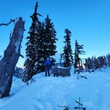 Heather Meadows and Artists Point Trail, Washington - 886 Reviews, Map ...