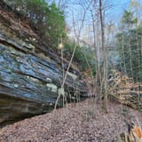 Raven Rock Loop Trail, North Carolina - 2,319 Reviews, Map | AllTrails
