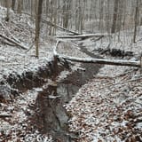 Bloodroot Trail, Indiana - 652 Reviews, Map | AllTrails