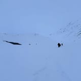 Castner Glacier Trail, Alaska - 555 Reviews, Map | AllTrails