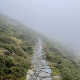 Main Range Walk, New South Wales, Australia - 723 Reviews, Map | AllTrails