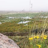 Main Range Walk, New South Wales, Australia - 723 Reviews, Map | AllTrails