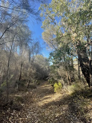 Best Hikes and Trails in Greenmount National Park | AllTrails
