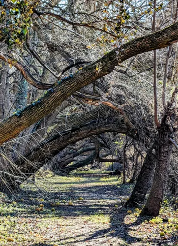 Best Hikes and Trails in Wye Island Natural Resource Management Area ...