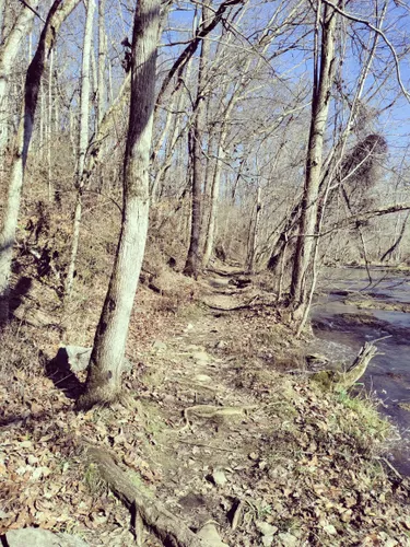 Best Walking Trails in Limestone | AllTrails