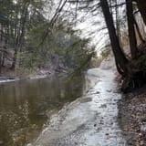 Five Mile Trail, New York - 1,302 Reviews, Map | AllTrails