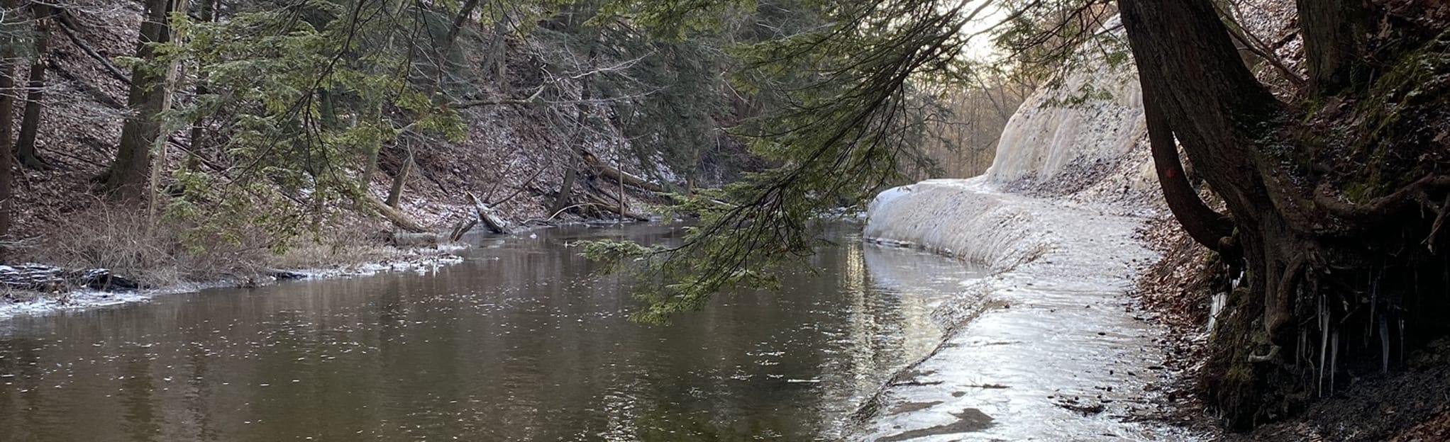 Geyser Loop Trail, New York - 1,764 Reviews, Map | AllTrails