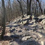 White Rocks Trail, Pennsylvania - 1,584 Reviews, Map | AllTrails