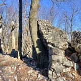 White Rocks Trail, Pennsylvania - 1,584 Reviews, Map | AllTrails