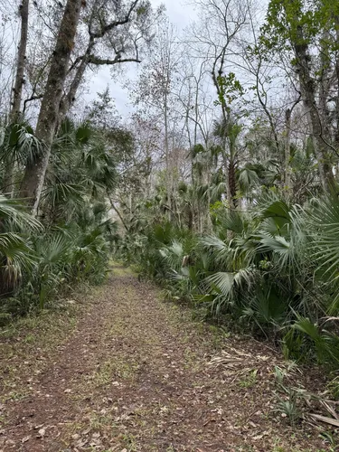 Best Hikes and Trails in Sabal Point Sanctuary | AllTrails