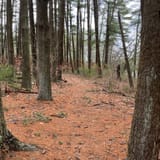 Lake Nummy Loop, New Jersey - 154 Reviews, Map | AllTrails