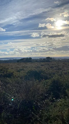 Best Hikes and Trails in Upton Heath Nature Reserve | AllTrails