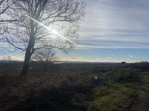 Best Hikes and Trails in Upton Heath Nature Reserve | AllTrails