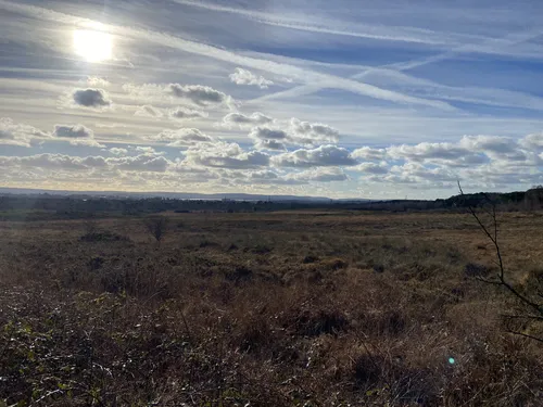 Best Hikes and Trails in Upton Heath Nature Reserve | AllTrails