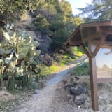Altadena Crest Trail, California - 662 Reviews, Map | AllTrails