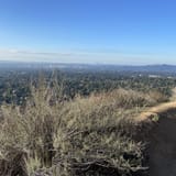Altadena Crest Trail, California - 662 Reviews, Map | AllTrails
