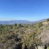 Altadena Crest Trail, California - 662 Reviews, Map | AllTrails