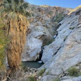Murray Canyon Trail to Seven Falls, California - 2,259 Reviews, Map ...
