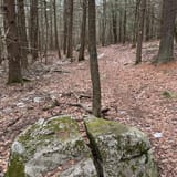 Tully Mountain Loop Trail, Massachusetts - 451 Reviews, Map | AllTrails