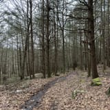 Tully Mountain Loop Trail, Massachusetts - 451 Reviews, Map | AllTrails