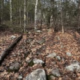 Tully Mountain Loop Trail, Massachusetts - 451 Reviews, Map | AllTrails
