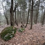 Tully Mountain Loop Trail, Massachusetts - 451 Reviews, Map | AllTrails