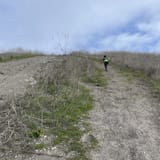 Ontario Ridge Trail via Shell Beach Road, California - 460 Reviews, Map ...
