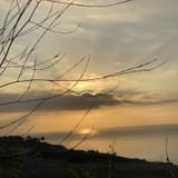 Corral Canyon Loop, California - 1,665 Reviews, Map | AllTrails