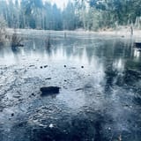 Lord Hill, Main Trail, and Temple Pond Loop Trail, Washington - 1,409 ...