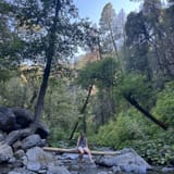 Potem Falls Trail, California - 320 Reviews, Map | AllTrails