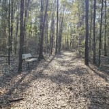 Britton Hill - Florida Highpoint, Florida - 199 Reviews, Map | AllTrails