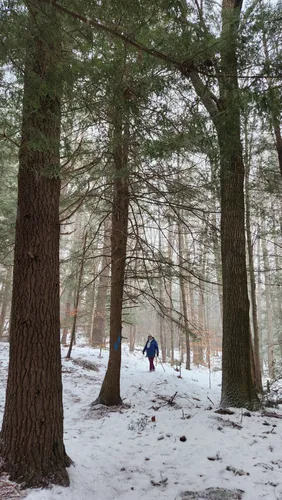 Best Hikes and Trails in Clam River Reserve | AllTrails