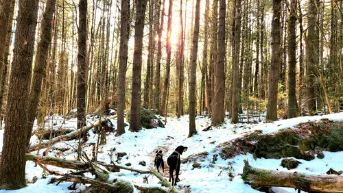 Best Hikes and Trails in Clam River Reserve | AllTrails