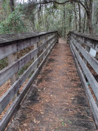 Best Hikes and Trails in Woodbine | AllTrails