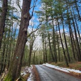 Long Path Trail, New York - 172 Reviews, Map | AllTrails