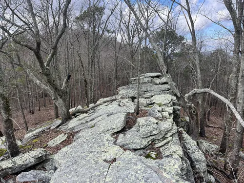 Best Backpacking Trails in Talladega | AllTrails