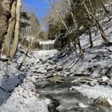 Tinker Falls Trail, New York - 552 Reviews, Map | AllTrails