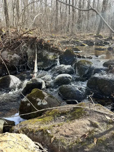 Best Hikes and Trails in Ruby and Elizabeth Cohen Woodlands | AllTrails