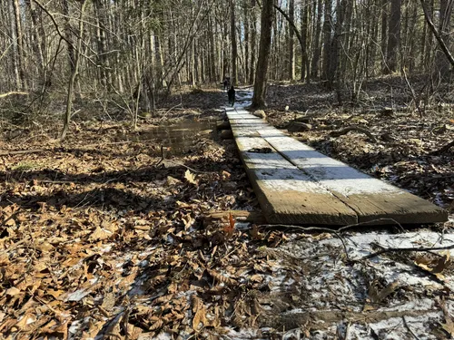 Best Hikes and Trails in Wolf Swamp Wildlife Management Area | AllTrails