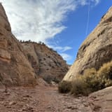 Capitol Gorge to Tanks Trail, Utah - 1,267 Reviews, Map | AllTrails