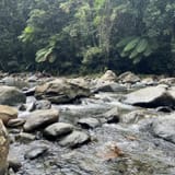 Angelito Trail, East Region, Puerto Rico - 616 Reviews, Map | AllTrails