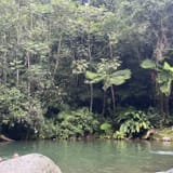 Angelito Trail, East Region, Puerto Rico - 616 Reviews, Map | AllTrails