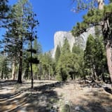 Valley Loop Trail, California - 581 Reviews, Map | AllTrails