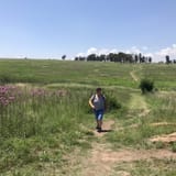 Modderfontein Dam Trail, Gauteng, South Africa - 372 Reviews, Map ...