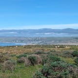 Tomales Point Trail, California - 6,232 Reviews, Map | AllTrails