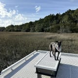 Sewee Shell Ring Interpretive Trail, South Carolina - 94 Reviews, Map ...