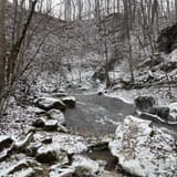 Cave River Valley Trail, Indiana - 206 Reviews, Map | AllTrails