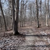 Cave River Valley Trail, Indiana - 206 Reviews, Map | AllTrails