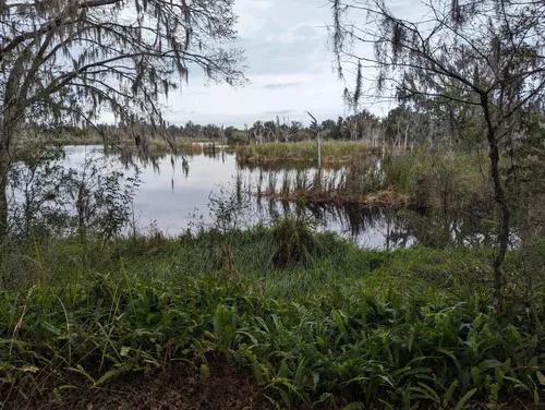 Best Hikes and Trails in Tenoroc Public Use Area | AllTrails